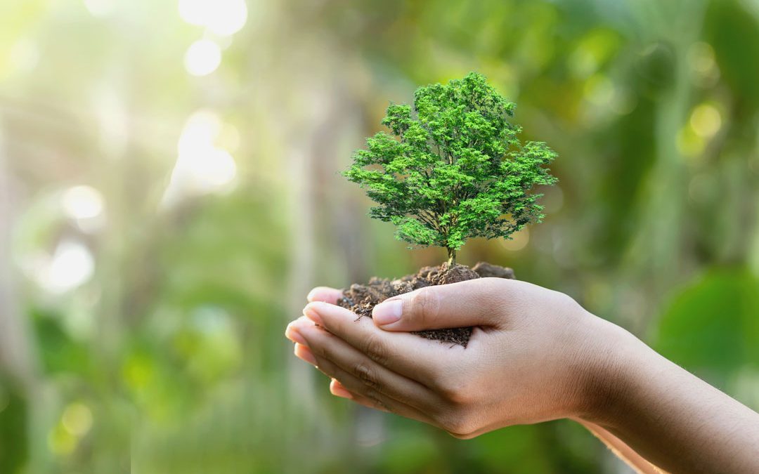 Why you should promote eco products – My Green Stuff