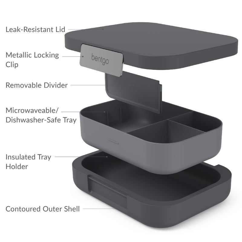 Bentgo Modern Lunch Box – My Green Stuff
