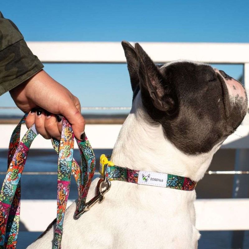 Doggy Eco Eco-Friendly Dog Collars – My Green Stuff