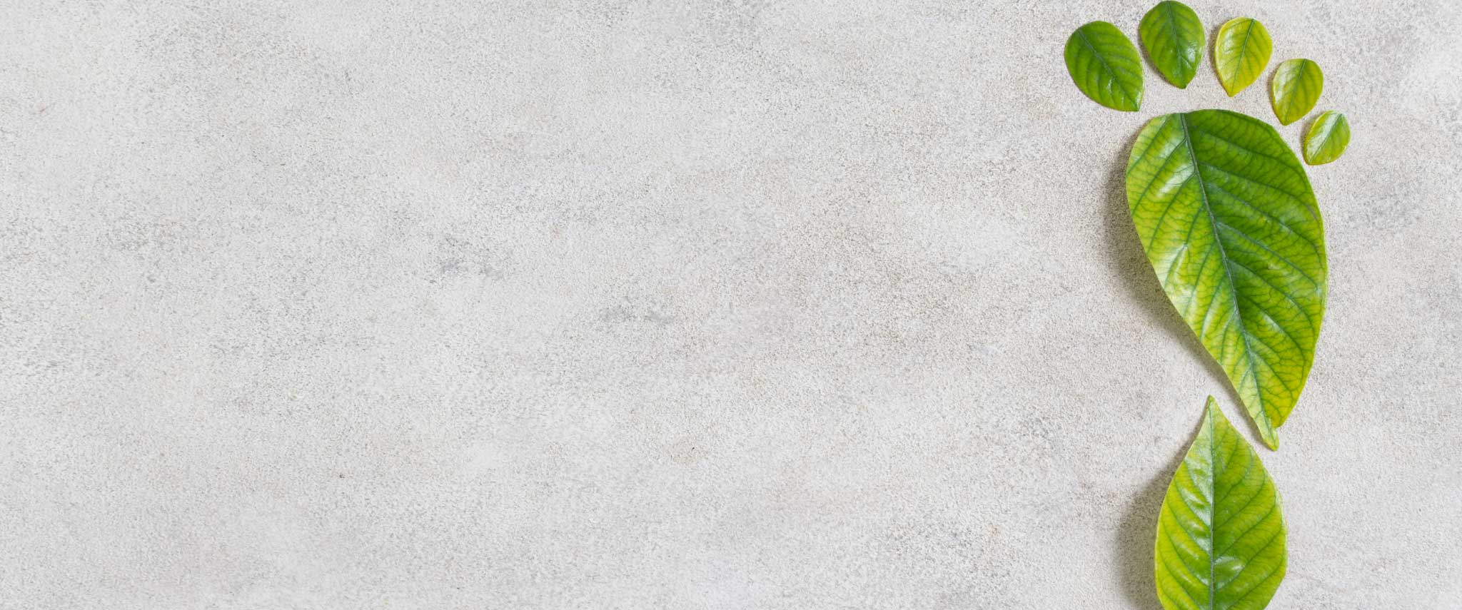 My Green Stuff - Reusable, Sustainable Eco Products